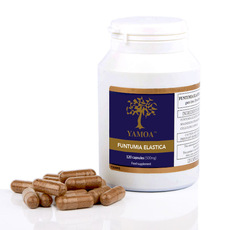 Yamoa™ Capsules Respiratory & Immune System Support – The Official ...