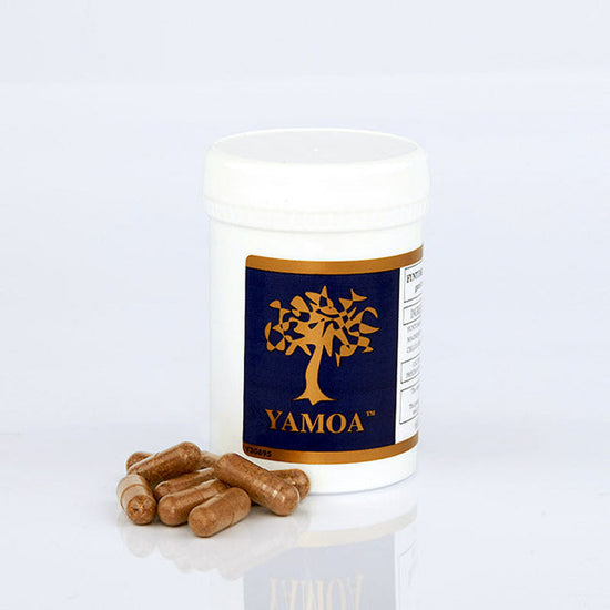 Yamoa™ Capsules Respiratory & Immune System Support – The Official ...